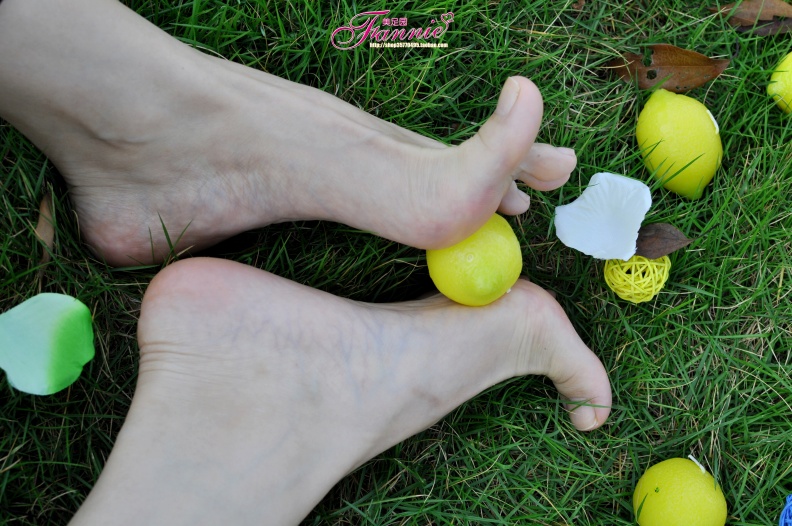 DSC 8363 | （福妹）主题相册